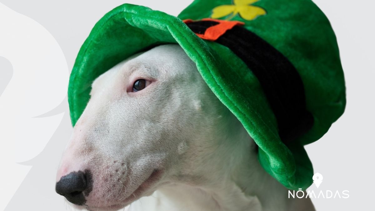 Día de San Patricio tradiciones