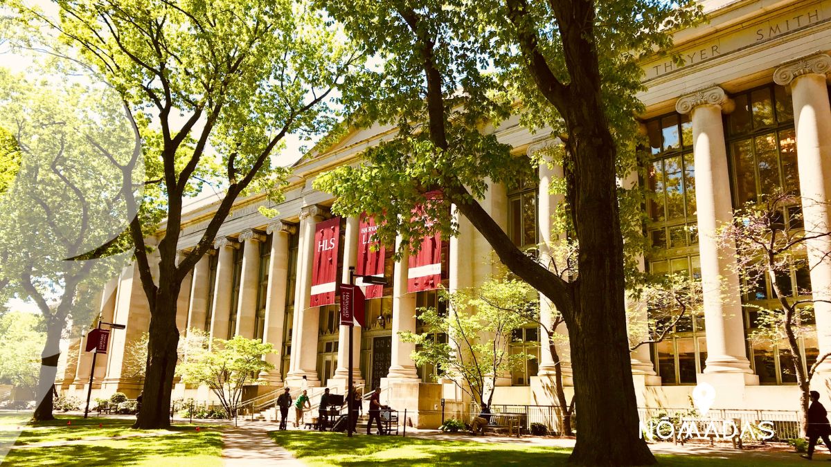 Universidad de Harvard -La historia que debes conocer - Nomadas Universidad de Harvard -La historia que debes conocer - Nomadas